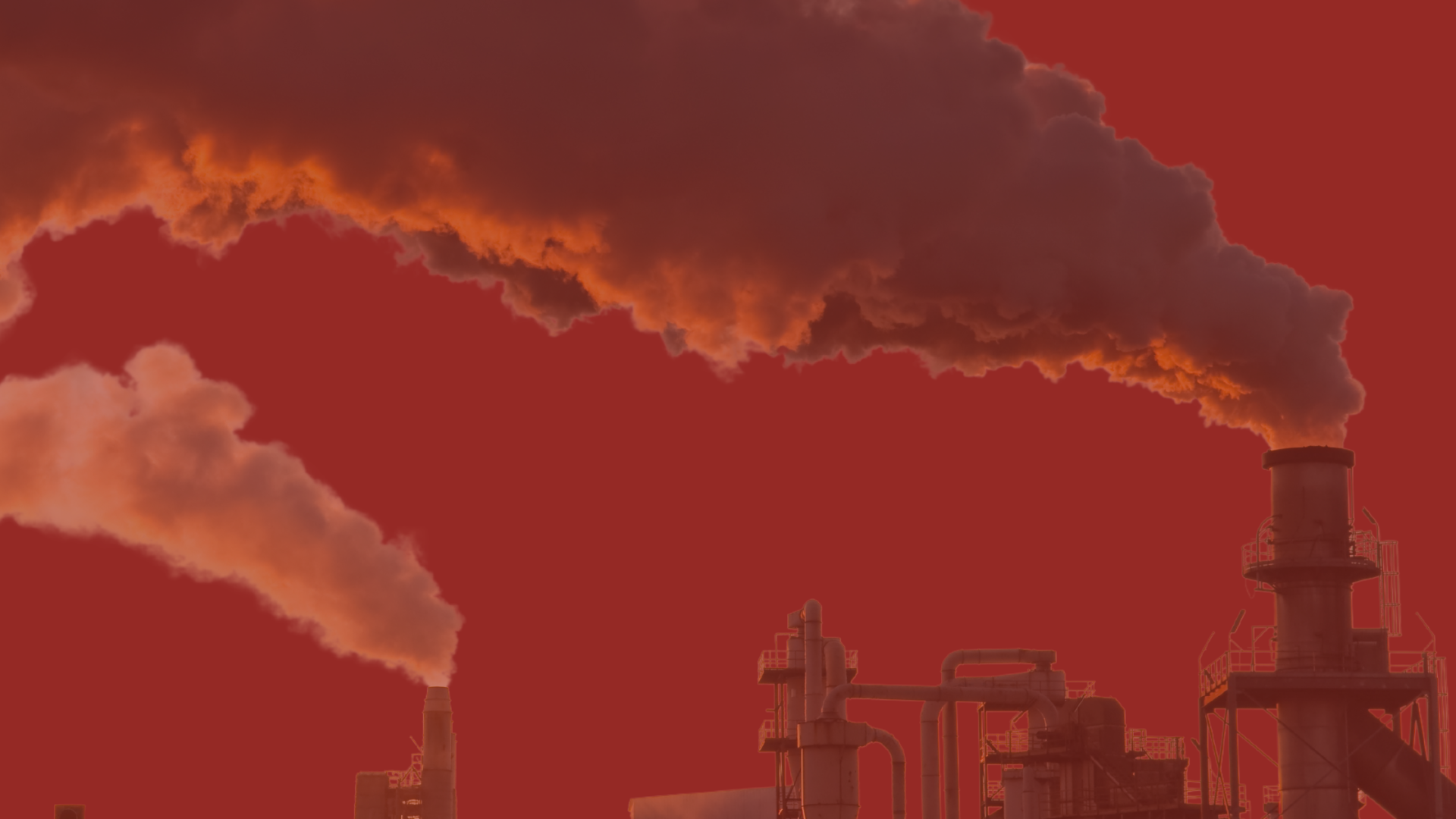 WORLD CLEAN-UP DAY 2024 - GAIA